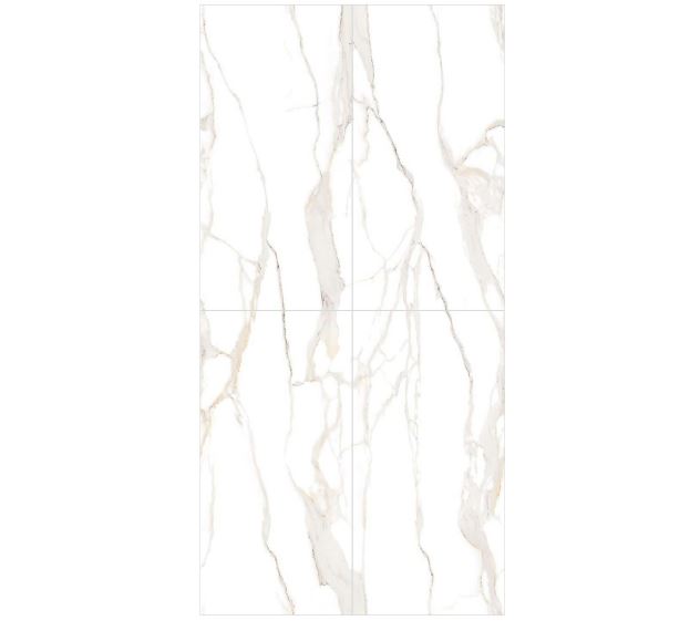 SATARIO VELENCIA | One Link Group